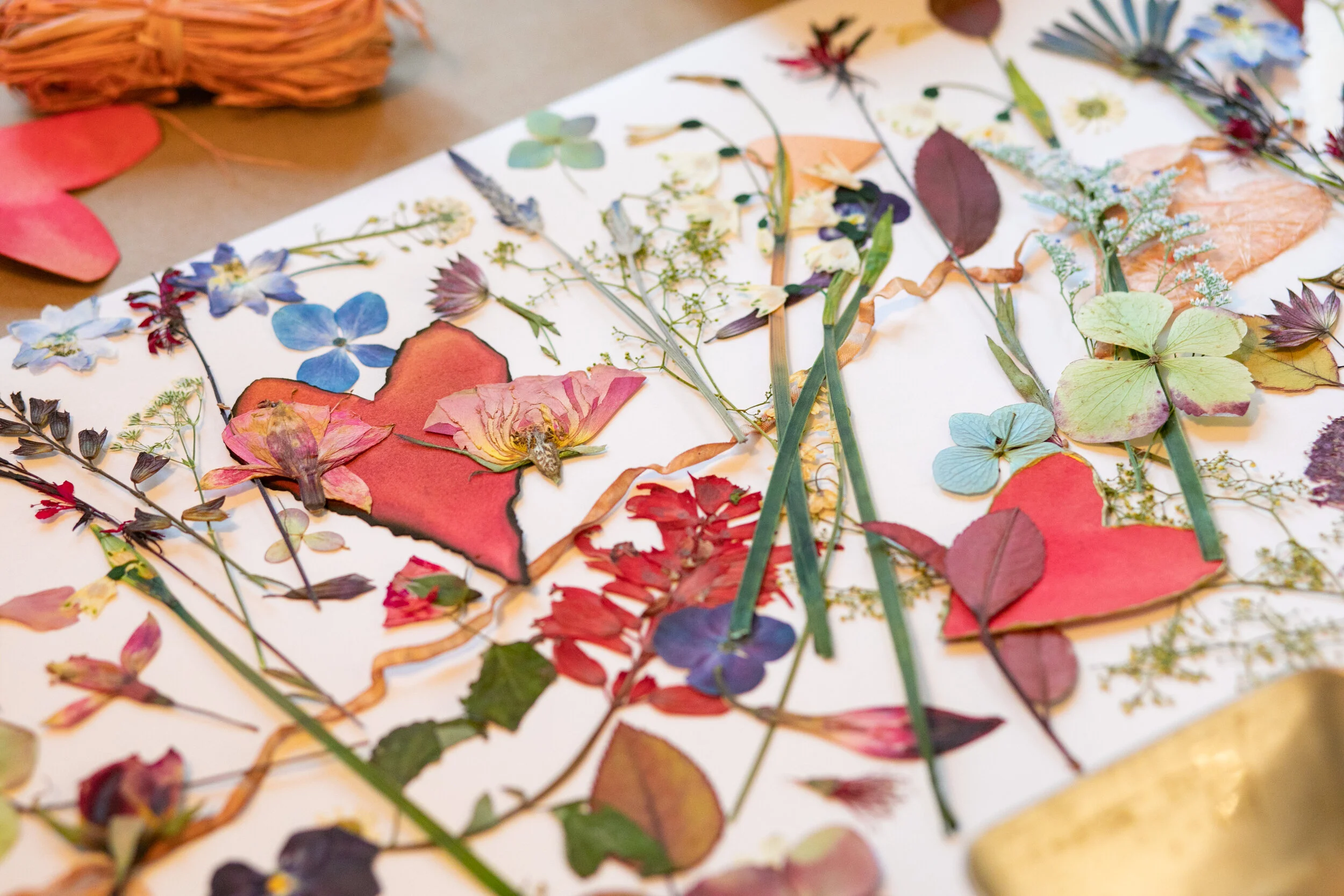 Pre-Order - Handmade Flower Press — Modern Pressed Flower — Modern ...