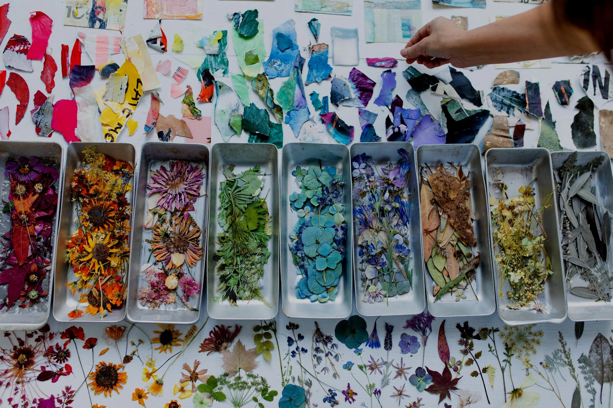 Modern Pressed Flower