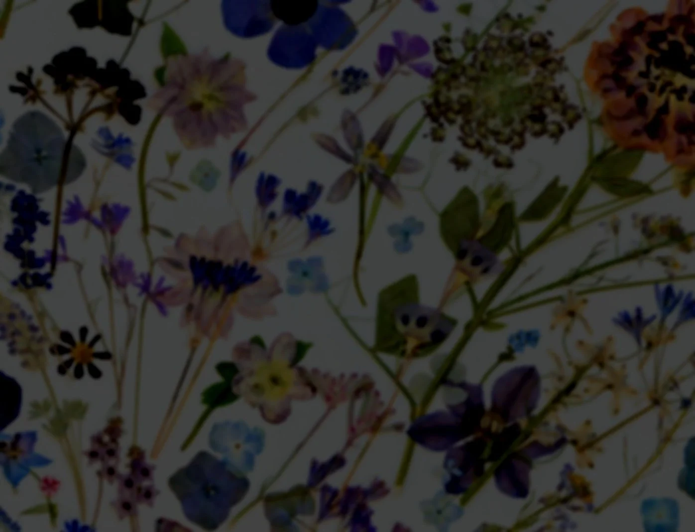 BLOOM — Modern Pressed Flower