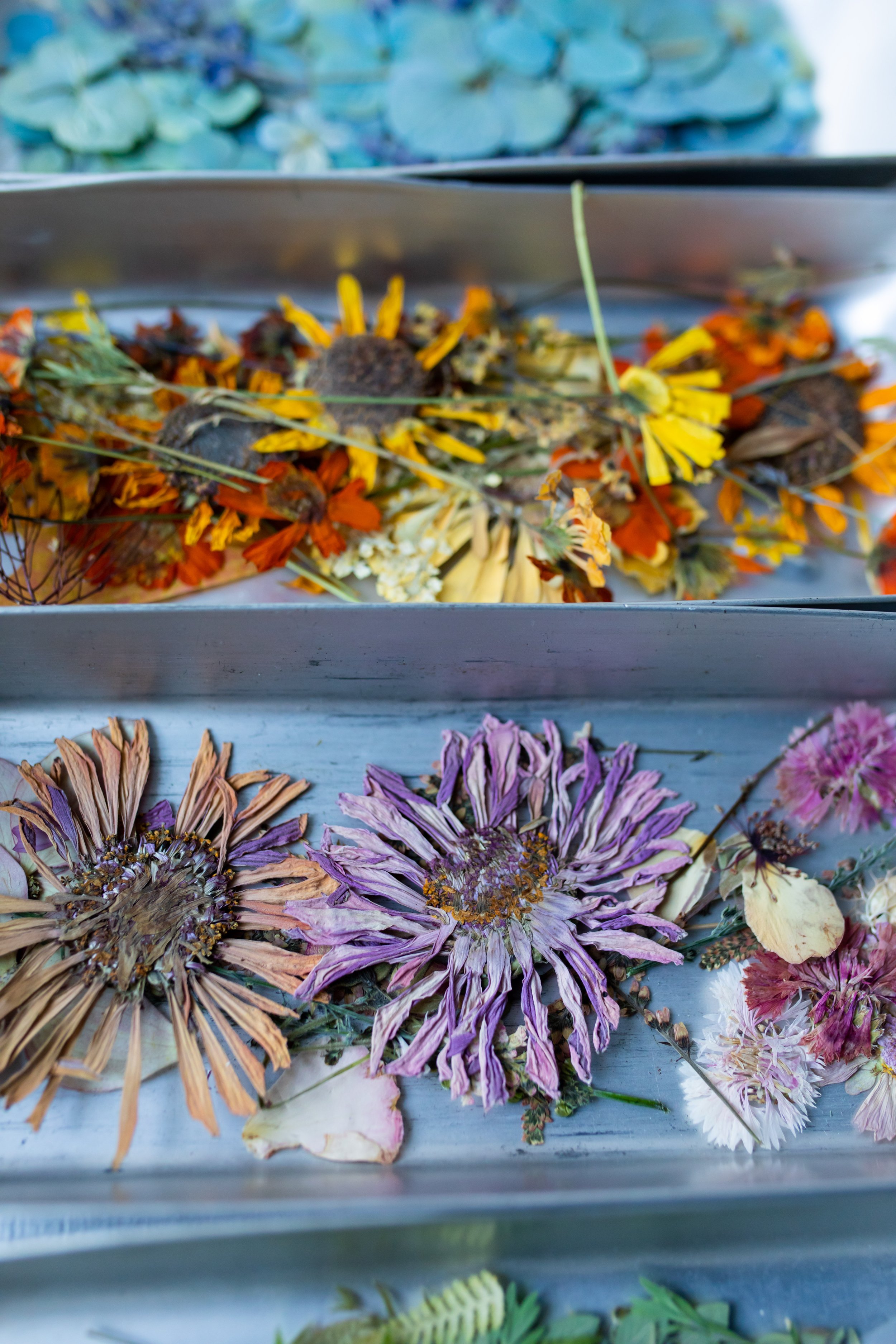 Videos/Tips | DIY Pressed Flowers Art | Flower Pressing Tutorials ...