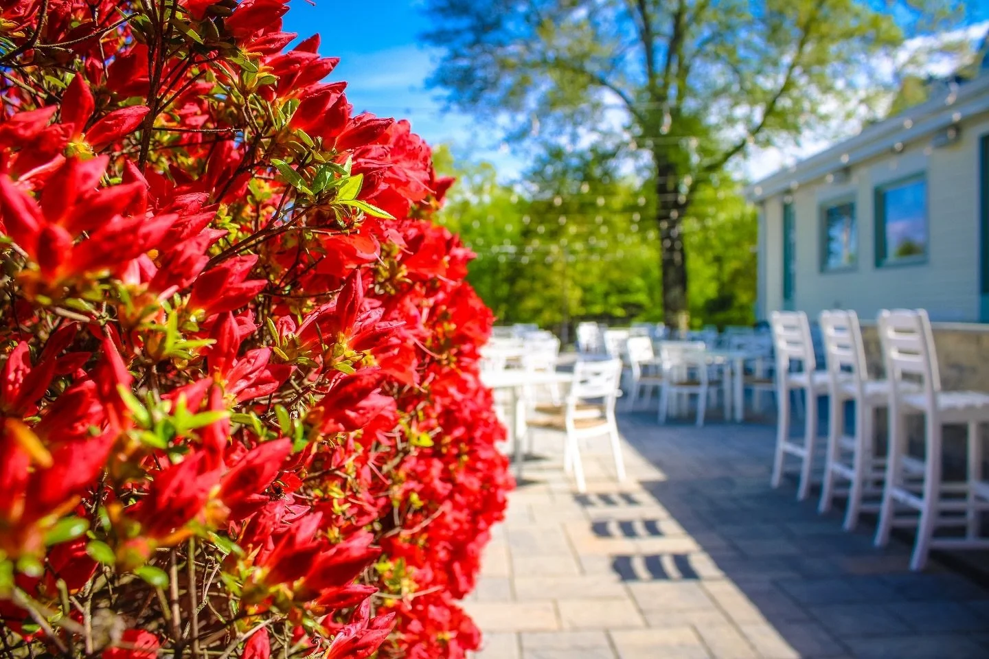 Gallery — The Delaney House