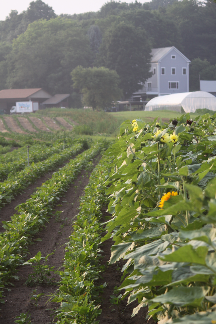 About — Riverbank Farm