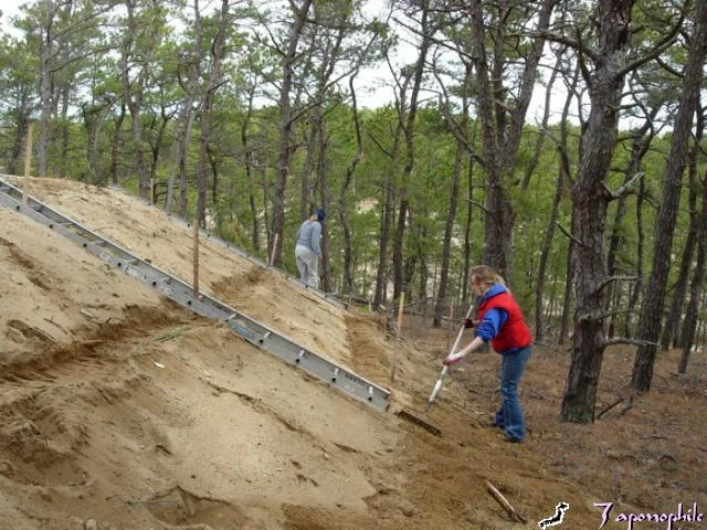 Steep Slope Stabilization — Safe Harbor