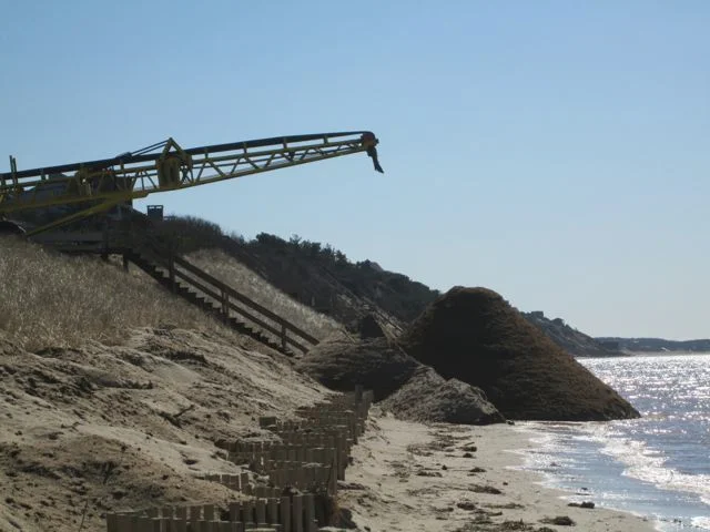 COASTAL BANK STABILIZATION — Safe Harbor