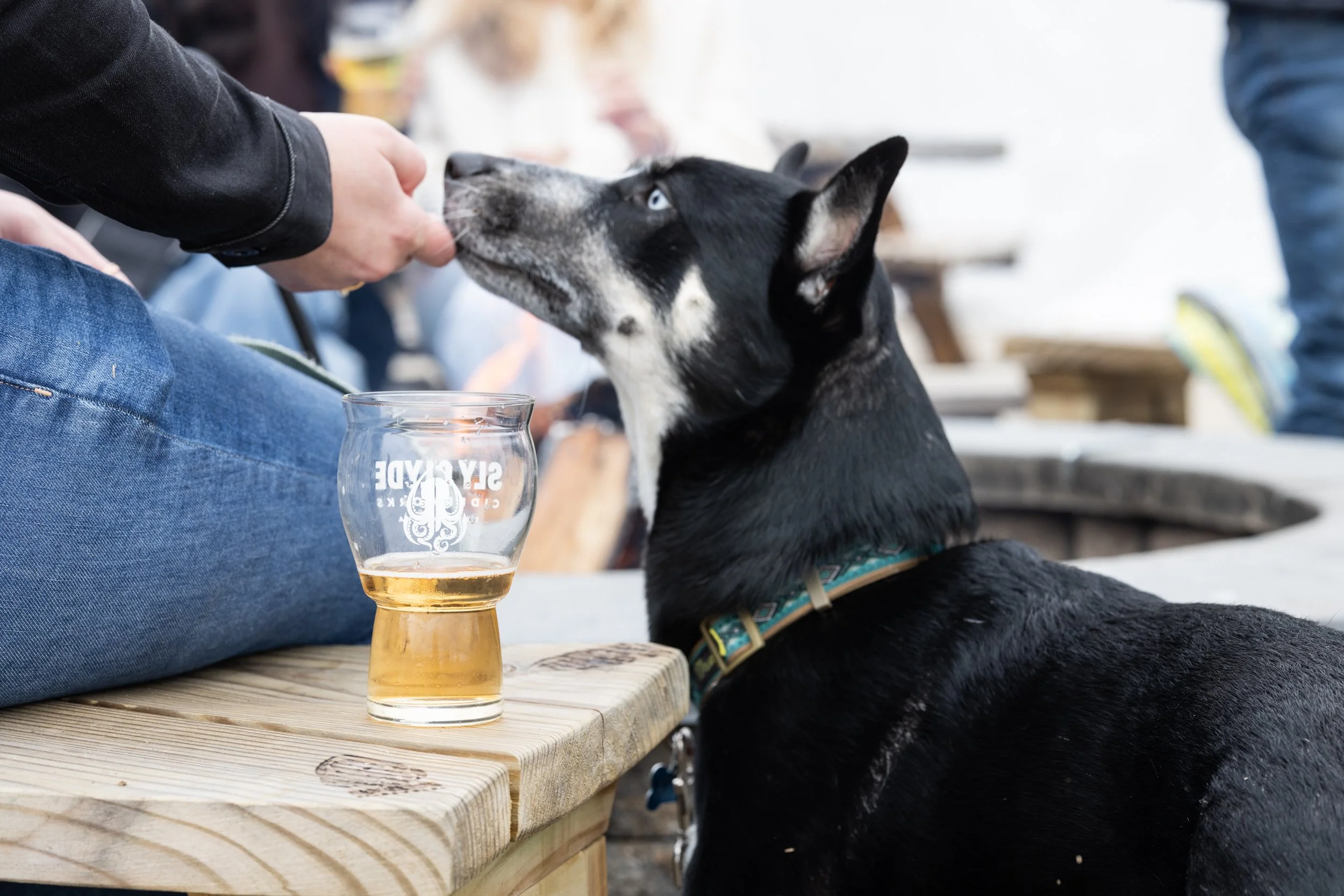 Sly Clyde Cider | Experience Quality Cider Today
