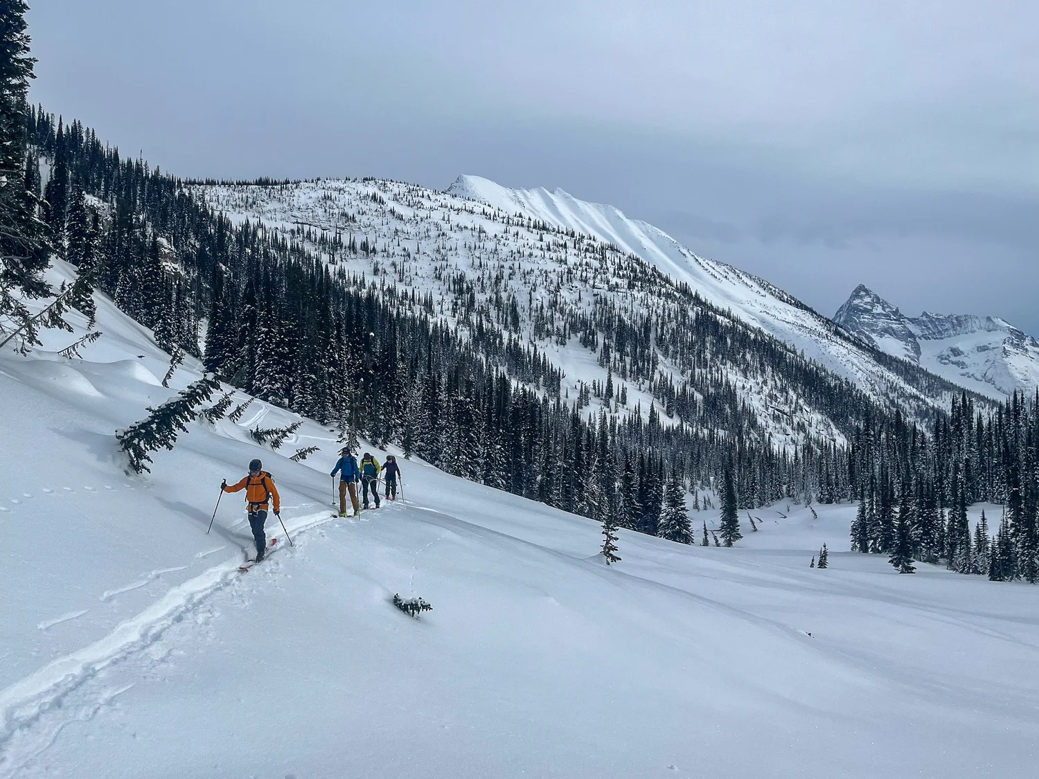 Zenith Mountain Guides