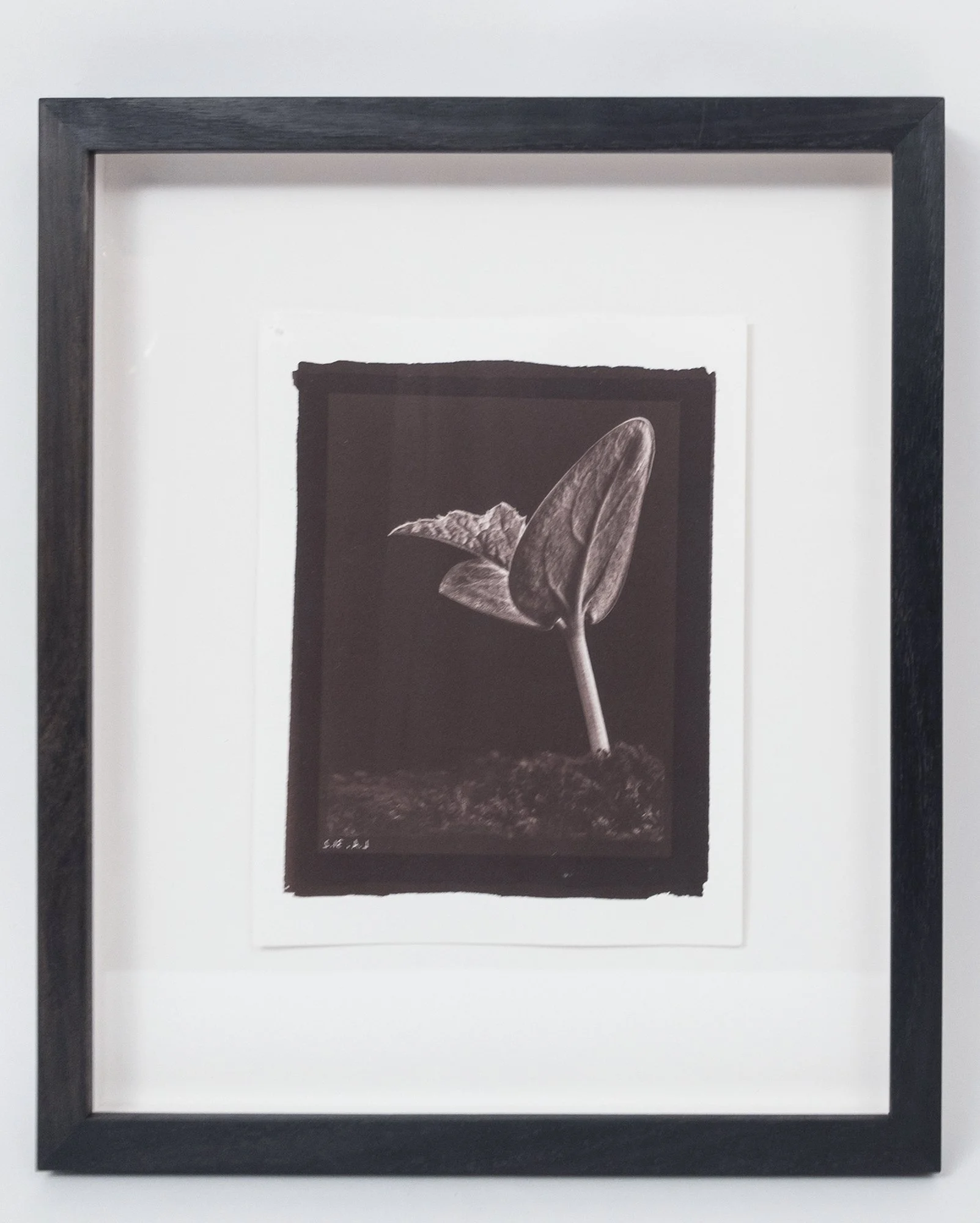 Joachim Froese — Jan Manton | Contemporary Australian and International Art