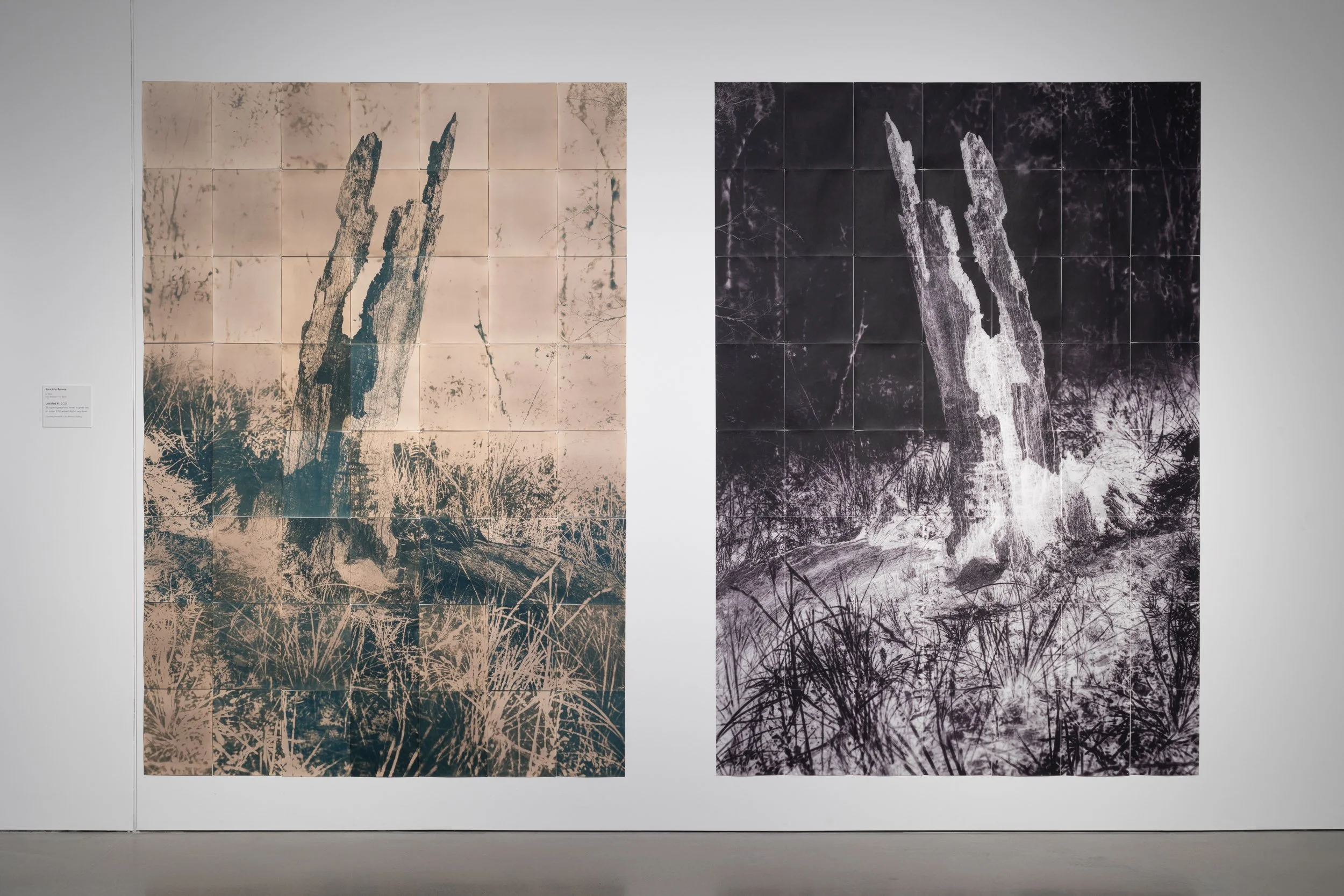 Joachim Froese — Jan Manton | Contemporary Australian and International Art