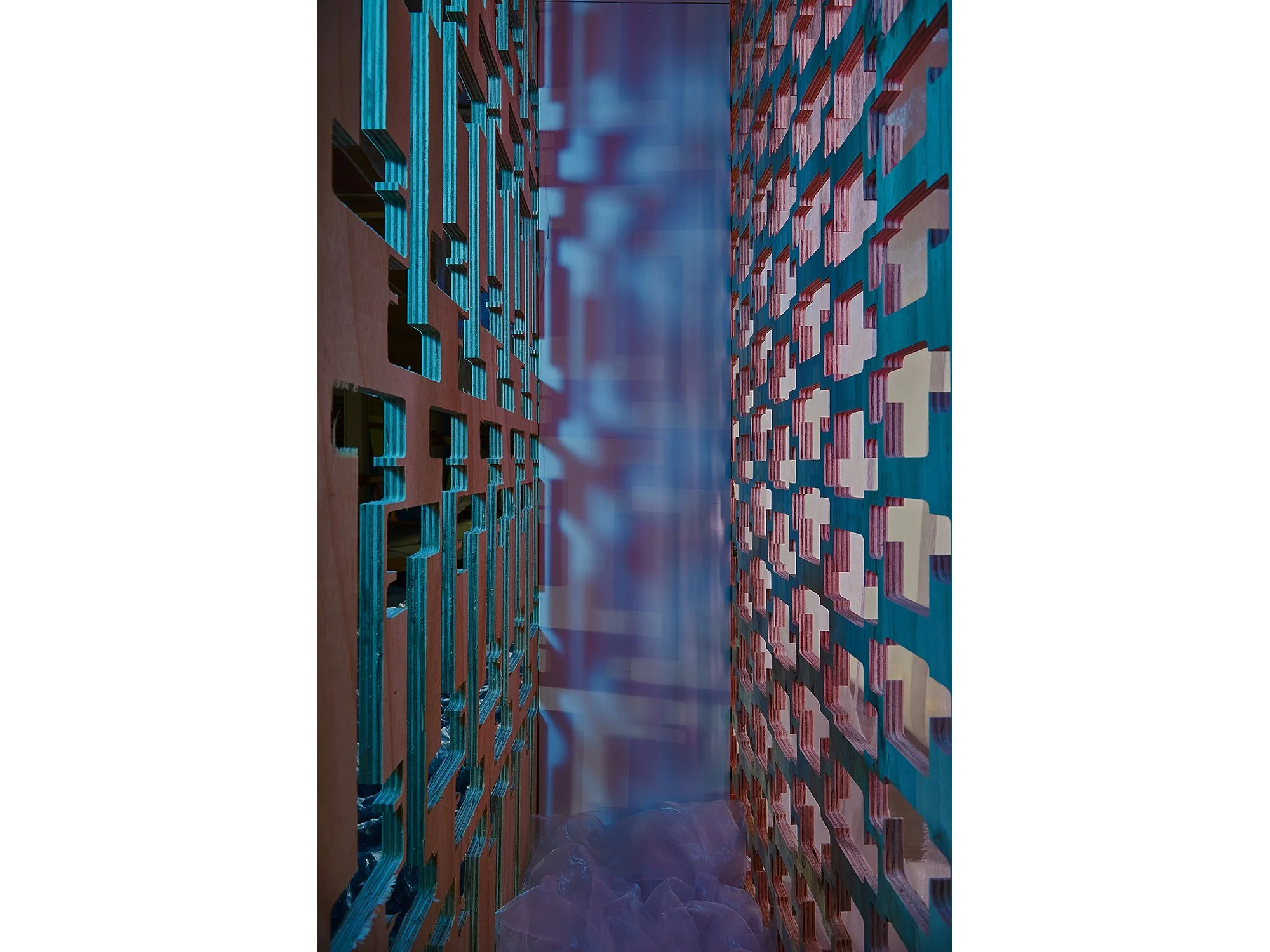 Root Gallery - Contemporary photography