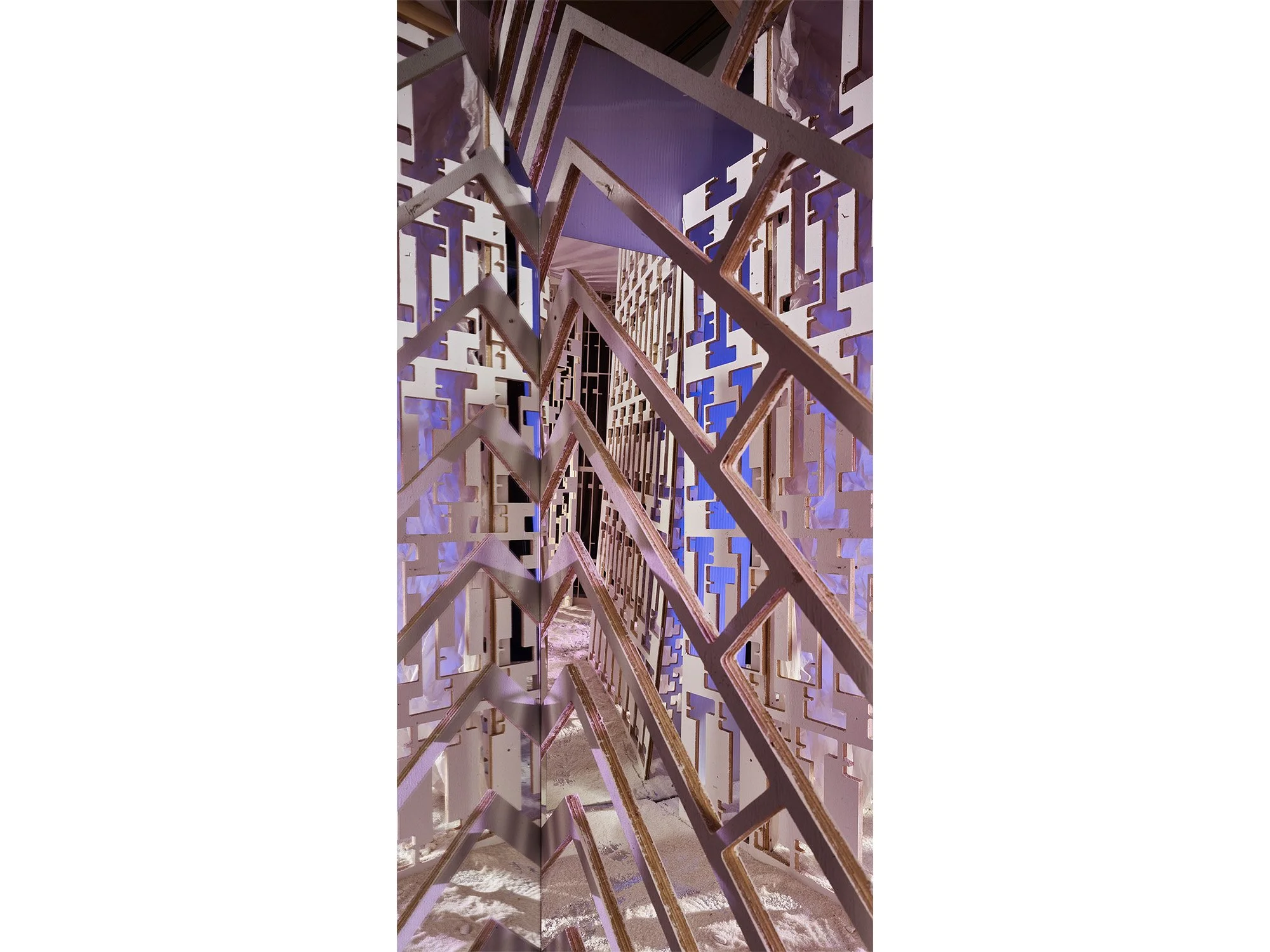 Root Gallery - Contemporary photography