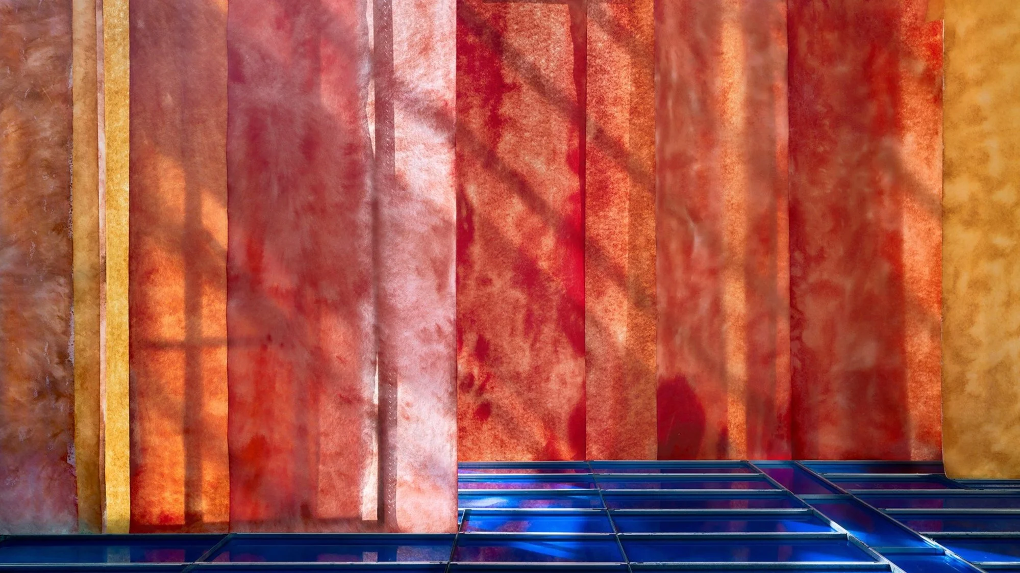 Root Gallery - Jan Theun van Rees | Captivating photography exploring ...