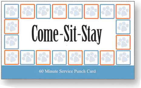 Promos — Come, Sit, Stay