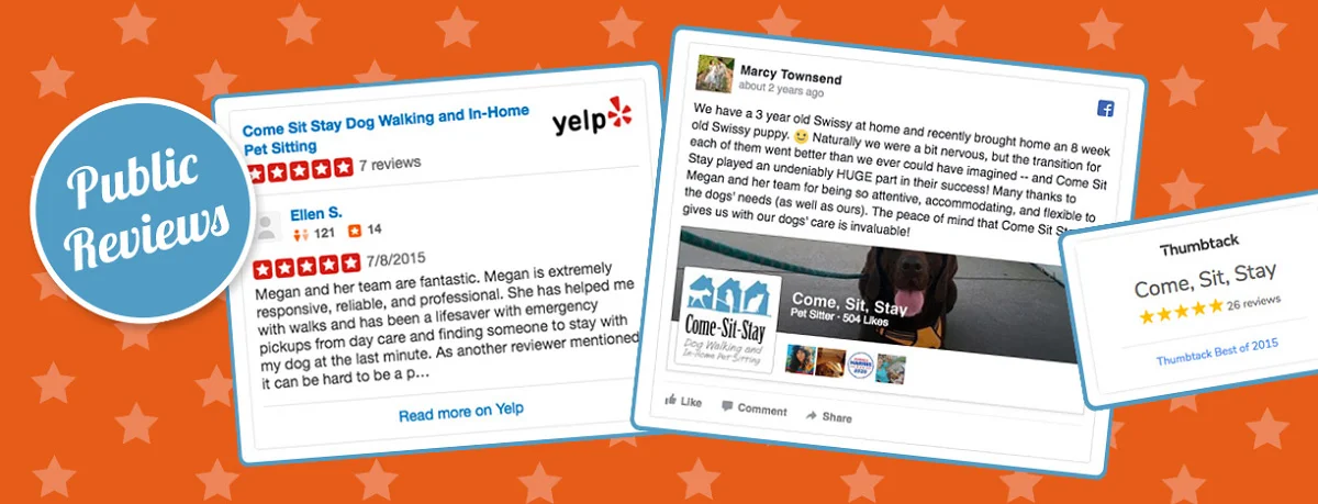 Come, Sit, Stay | Dog Walking | In Home Pet Sitting | Minneapolis | St ...