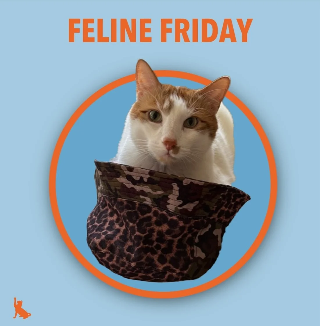 Come, Sit, Stay | Dog Walking | In Home Pet Sitting | Minneapolis | St ...