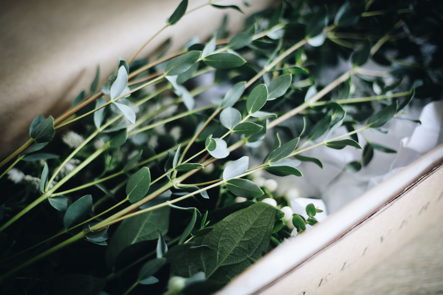 Lucie Loves... Lifestyle // Saying yes to Fresh Beginnings and goodbye ...