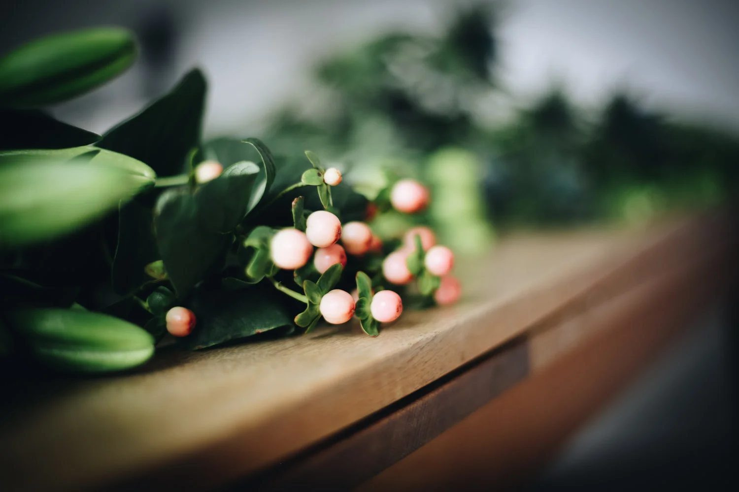 Lucie Loves... Lifestyle // Saying yes to Fresh Beginnings and goodbye ...