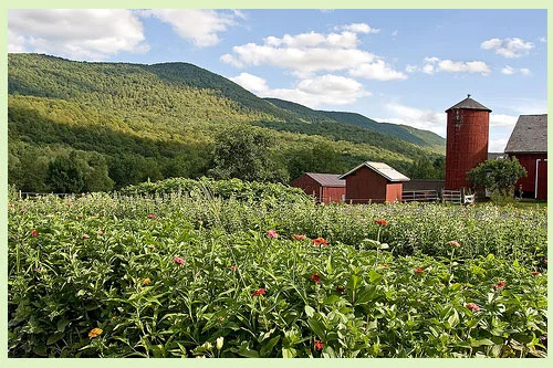 Our History — CARETAKER FARM