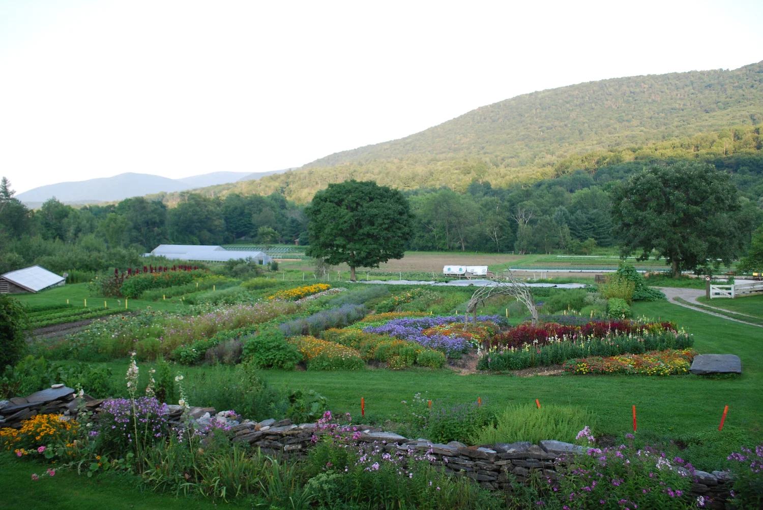 The Farm — CARETAKER FARM