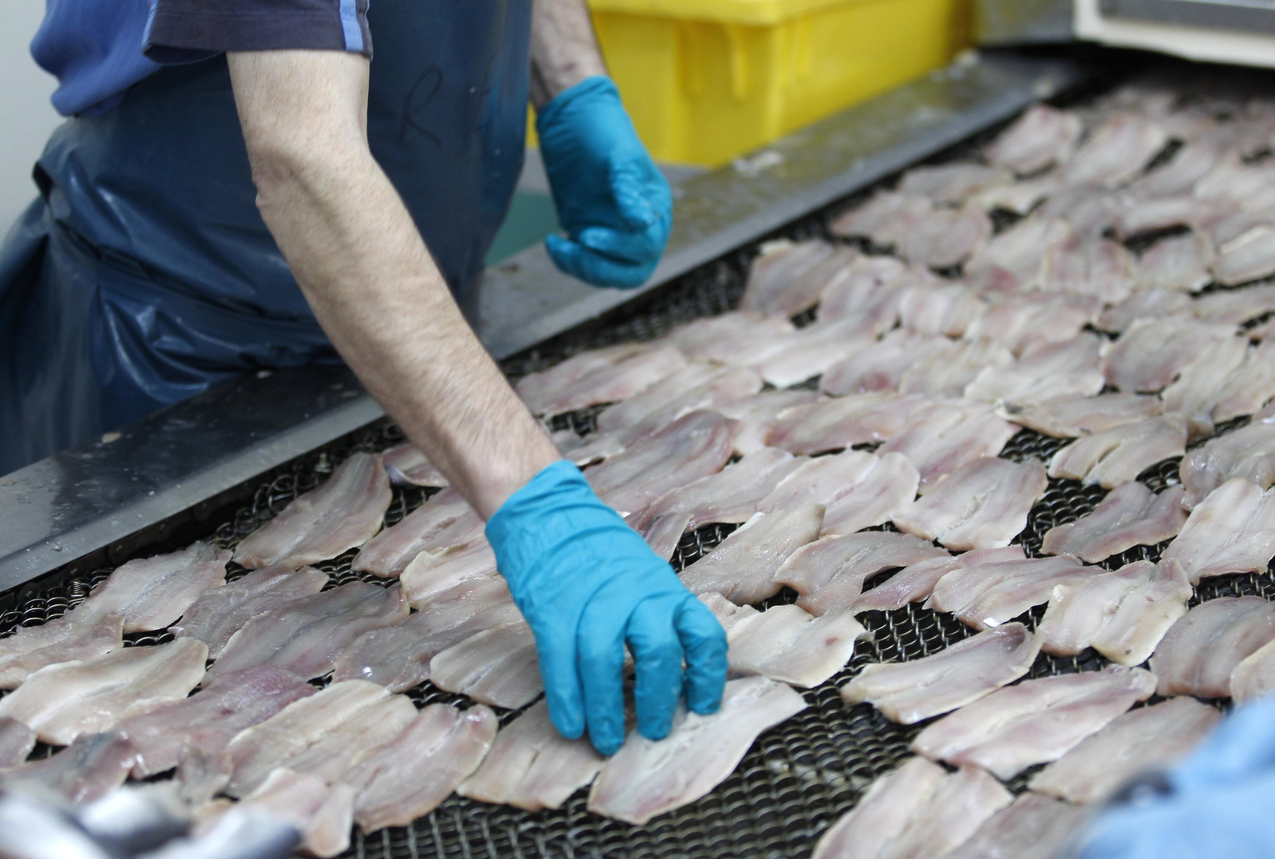 IMO Foods Ltd. — Nova Scotia Seafood Alliance