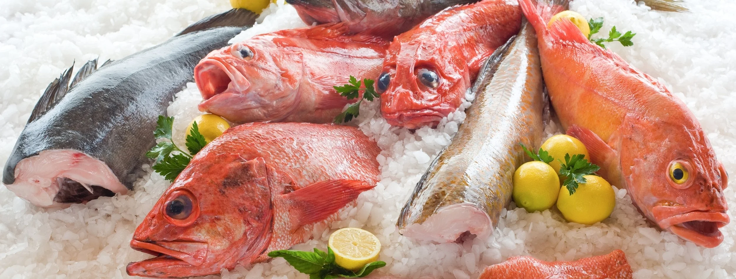 Breakers Fish Company Ltd. — Nova Scotia Seafood Alliance