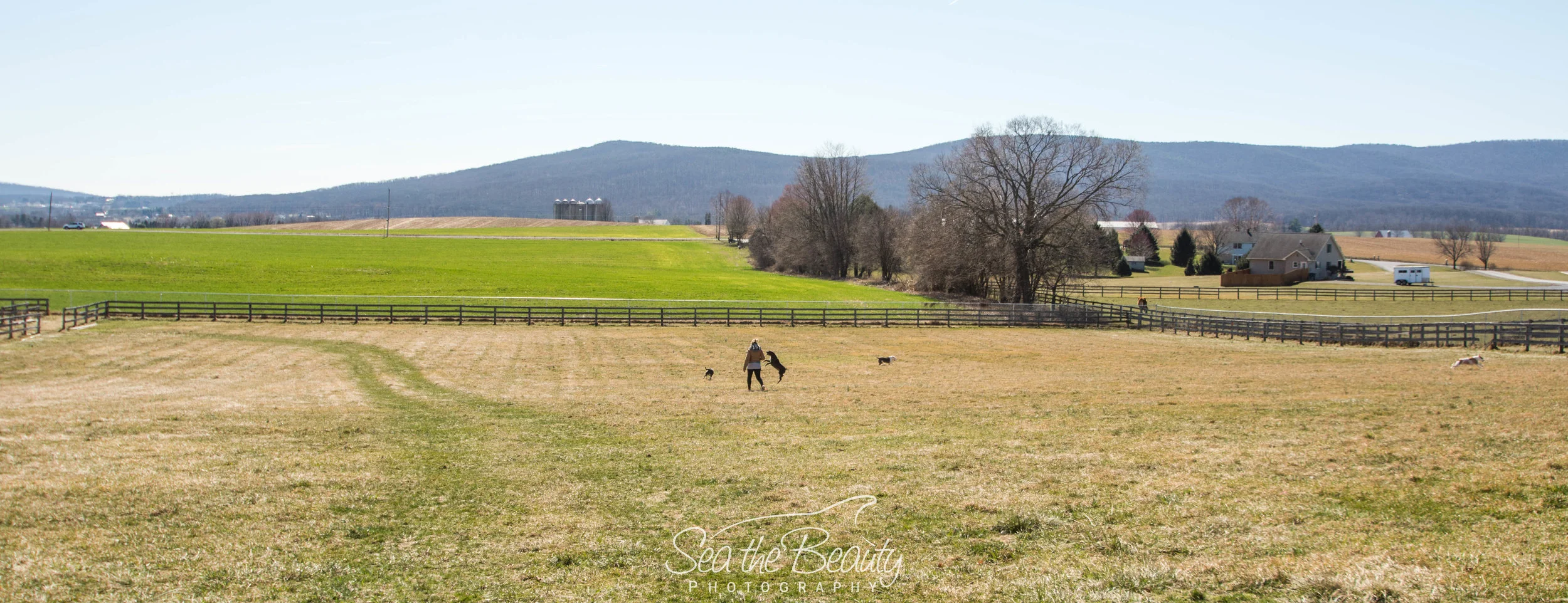 Sanctuary — Speranza Animal Rescue