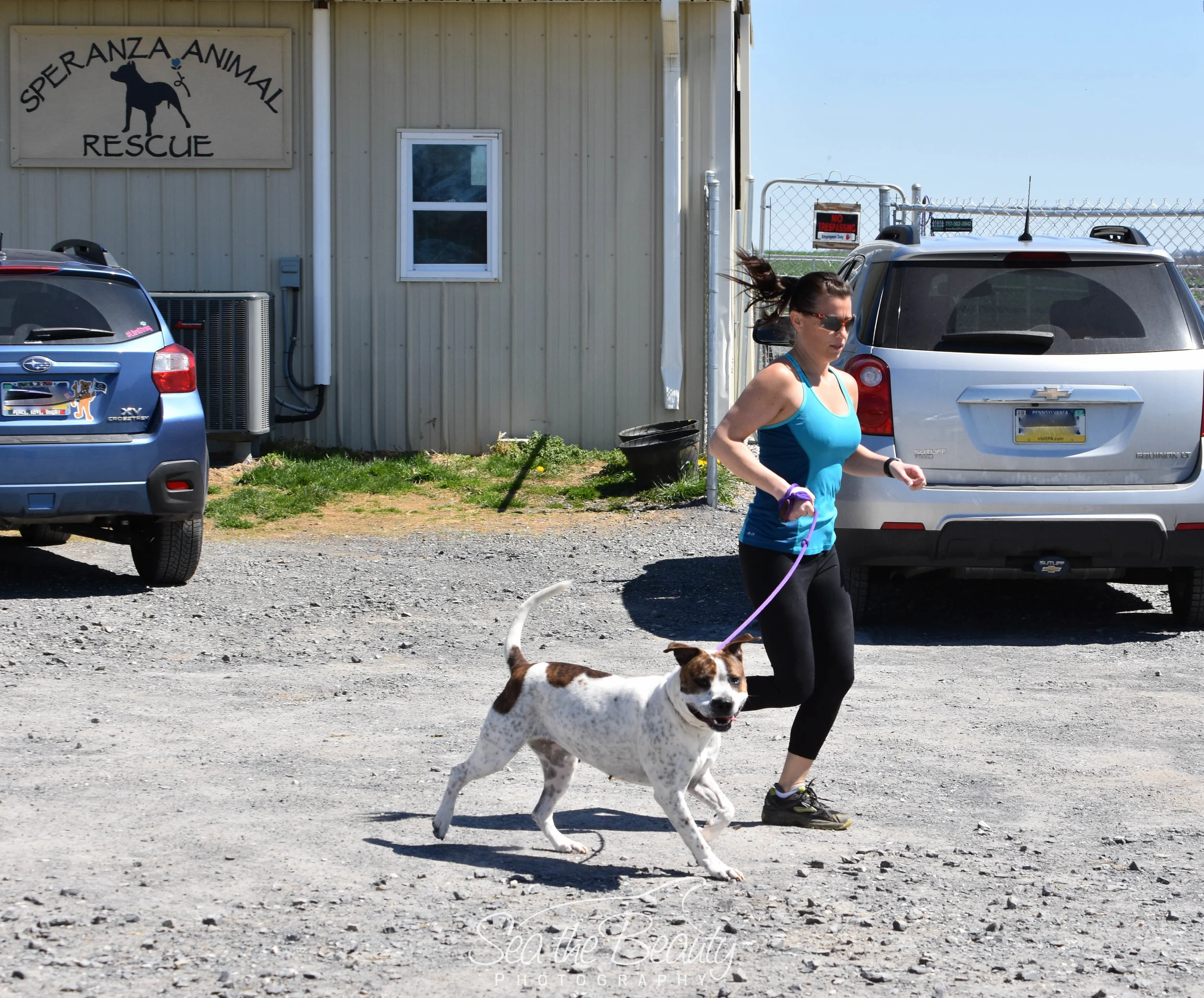 Pit Crew Speranza Animal Rescue Pit Crew Speranza Animal Rescue