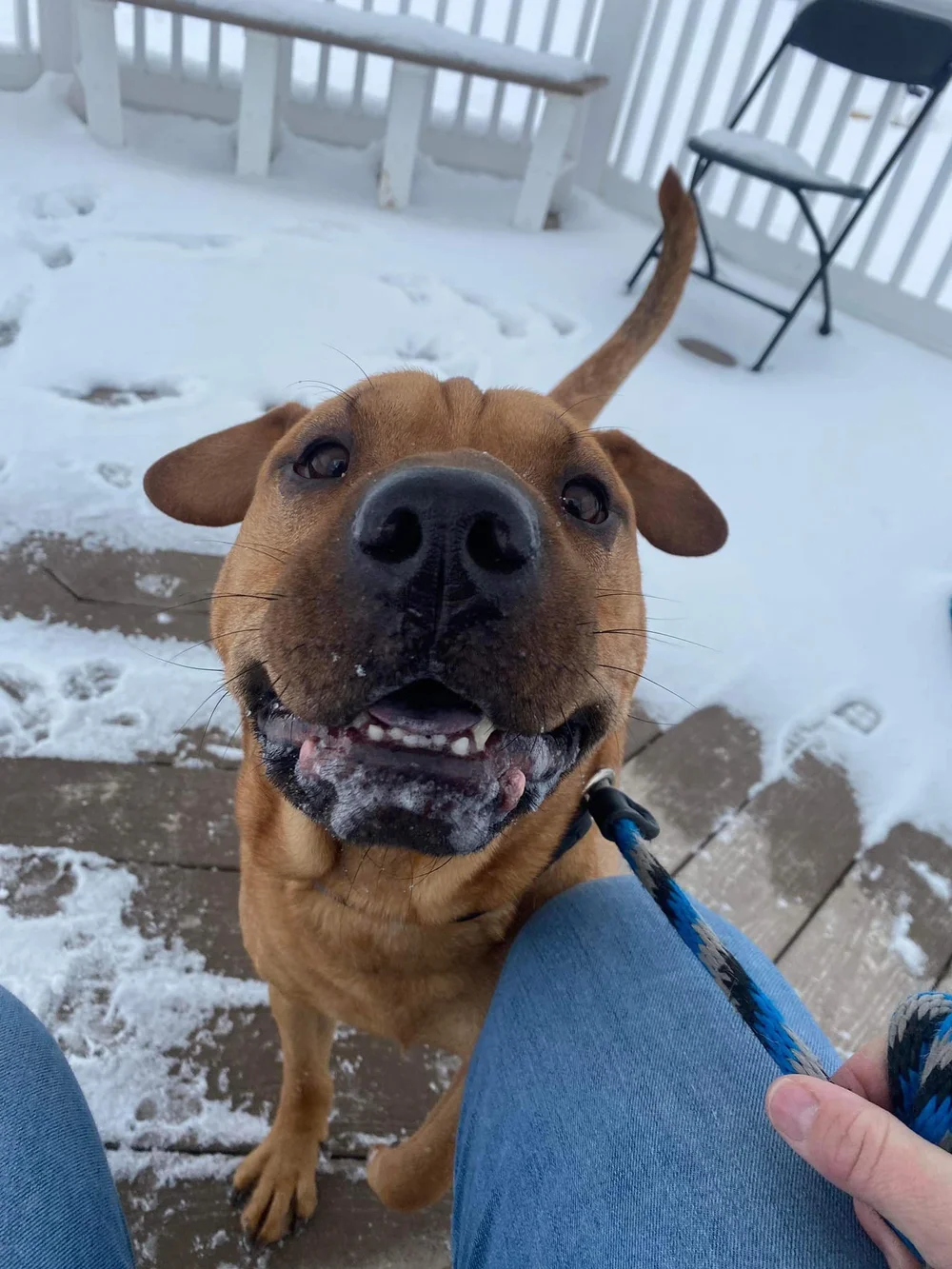 Sanctuary — Speranza Animal Rescue