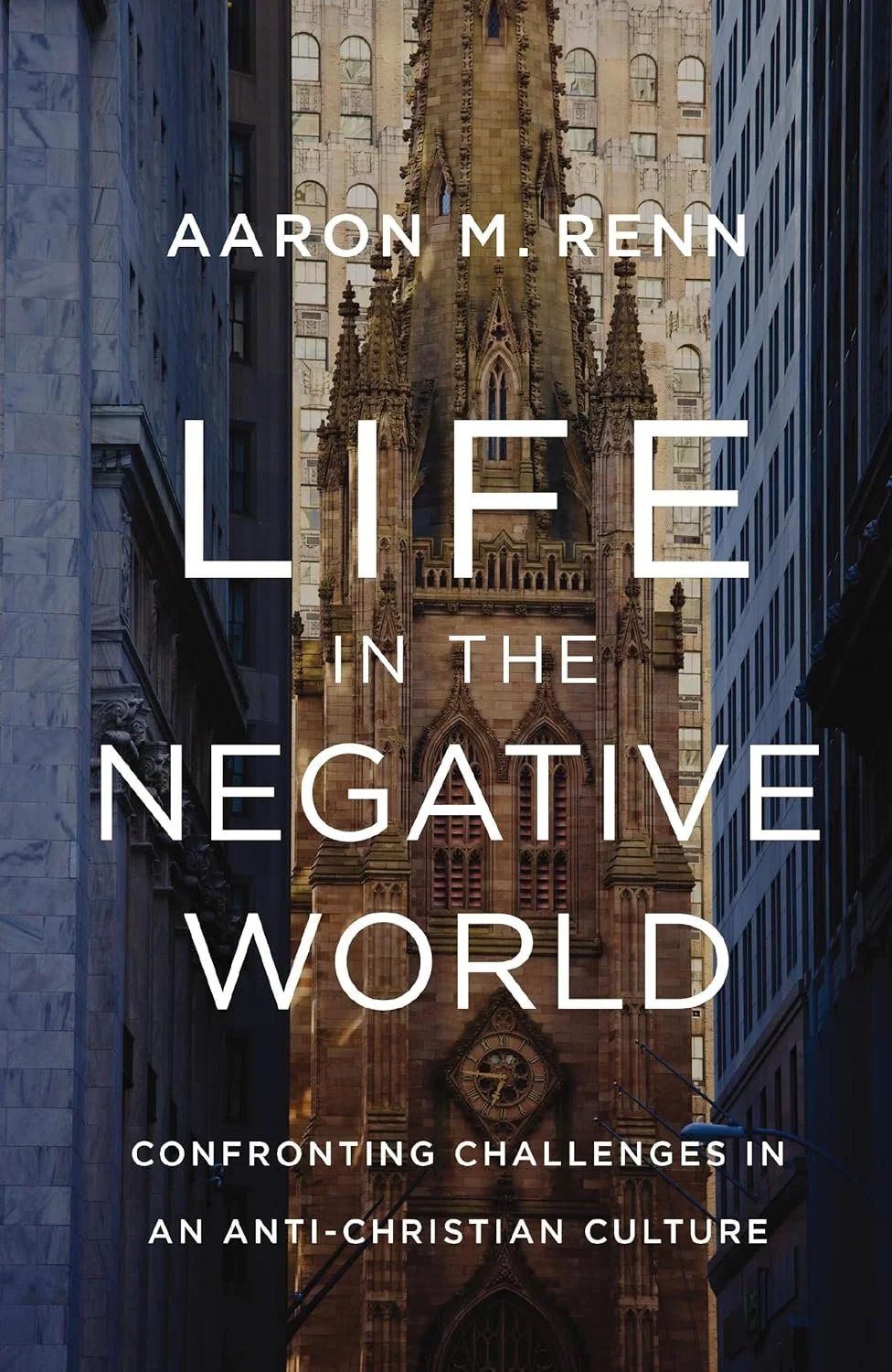 Book Review: "Life in the Negative World," Aaron Renn — New Life ...