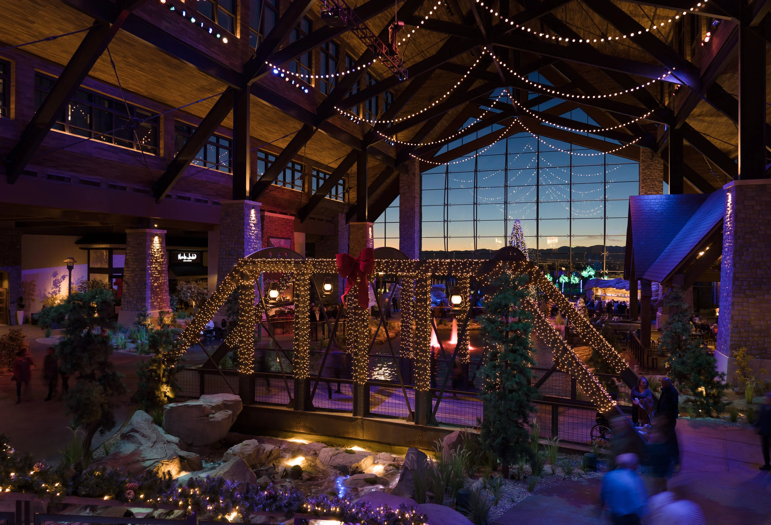 Low Light -Elevated Standards-