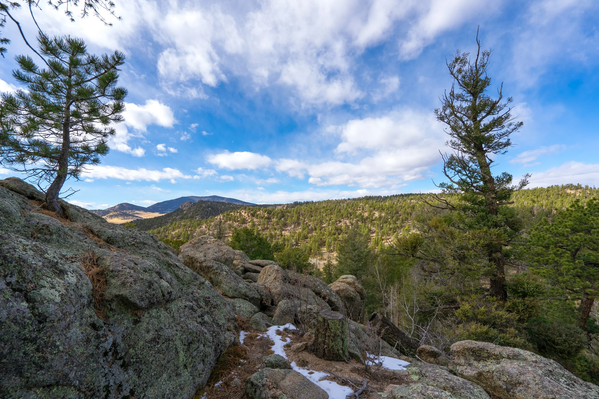 Land photography -Elevated Standards-