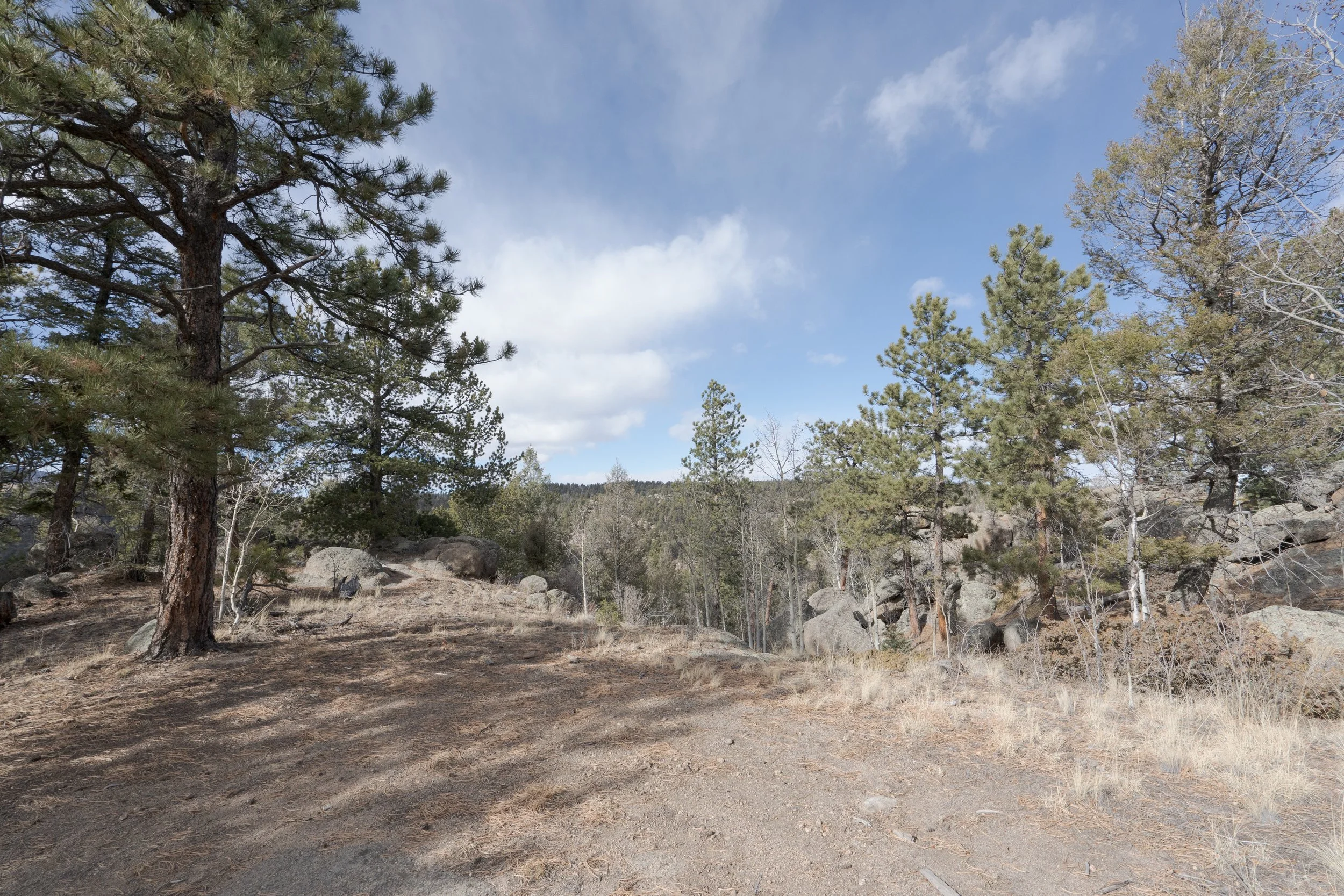 Land photography -Elevated Standards-