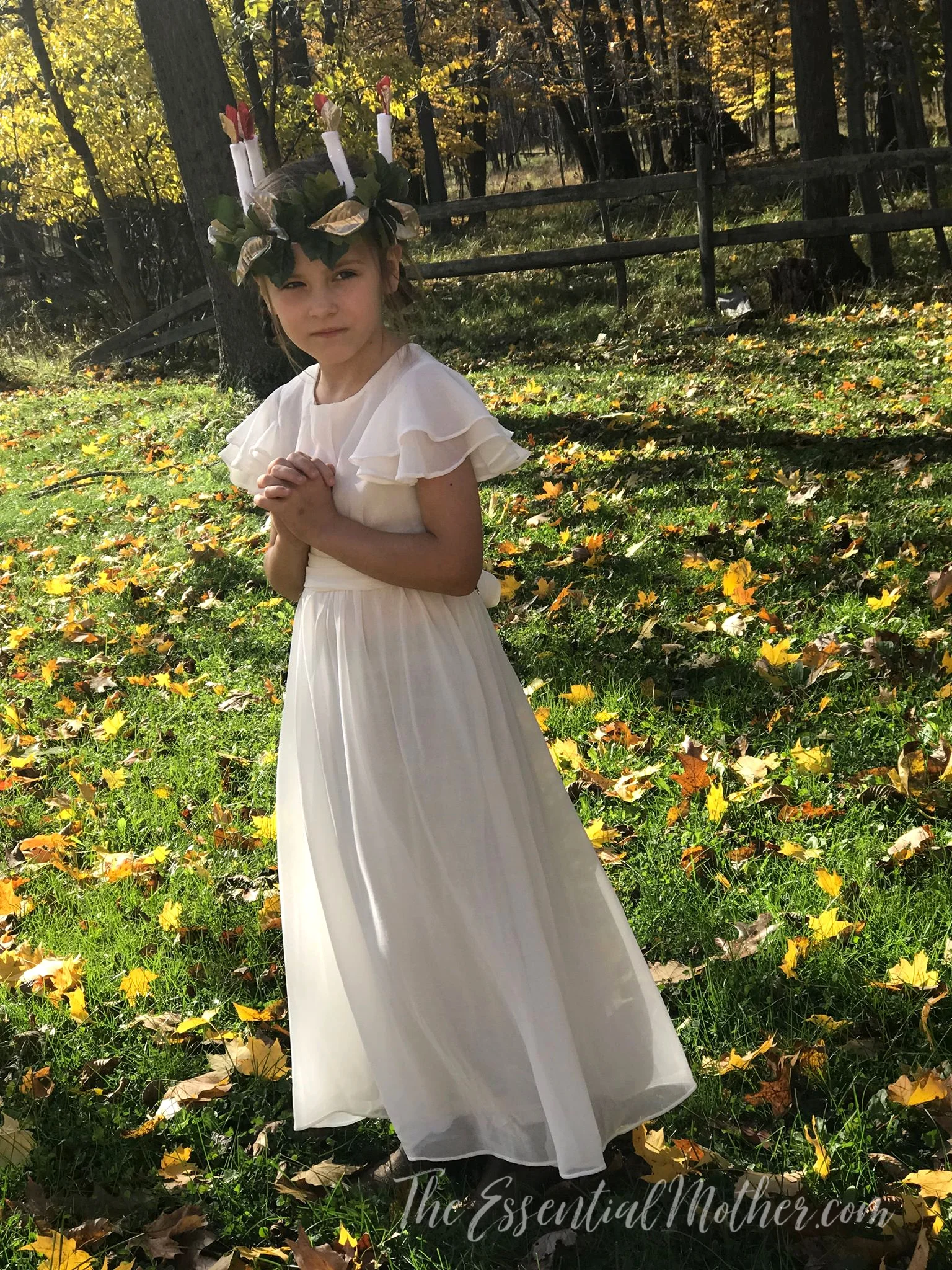 DIY Saint Lucia Crown and Costume (Beginner and Intermediate Tutorials ...