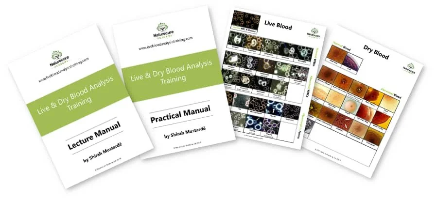 Live Blood Analysis Training Online