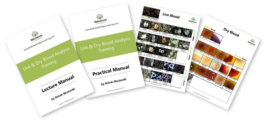 Live Blood Analysis Training Online