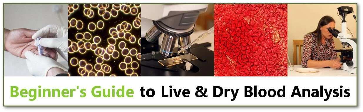 Live Blood Analysis Training Online