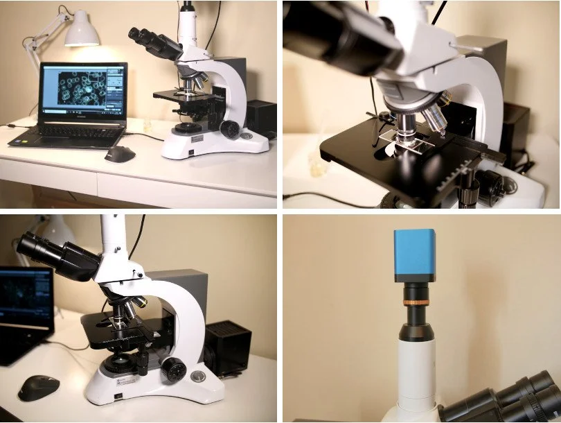 Buying a Microscope for Live Blood Analysis