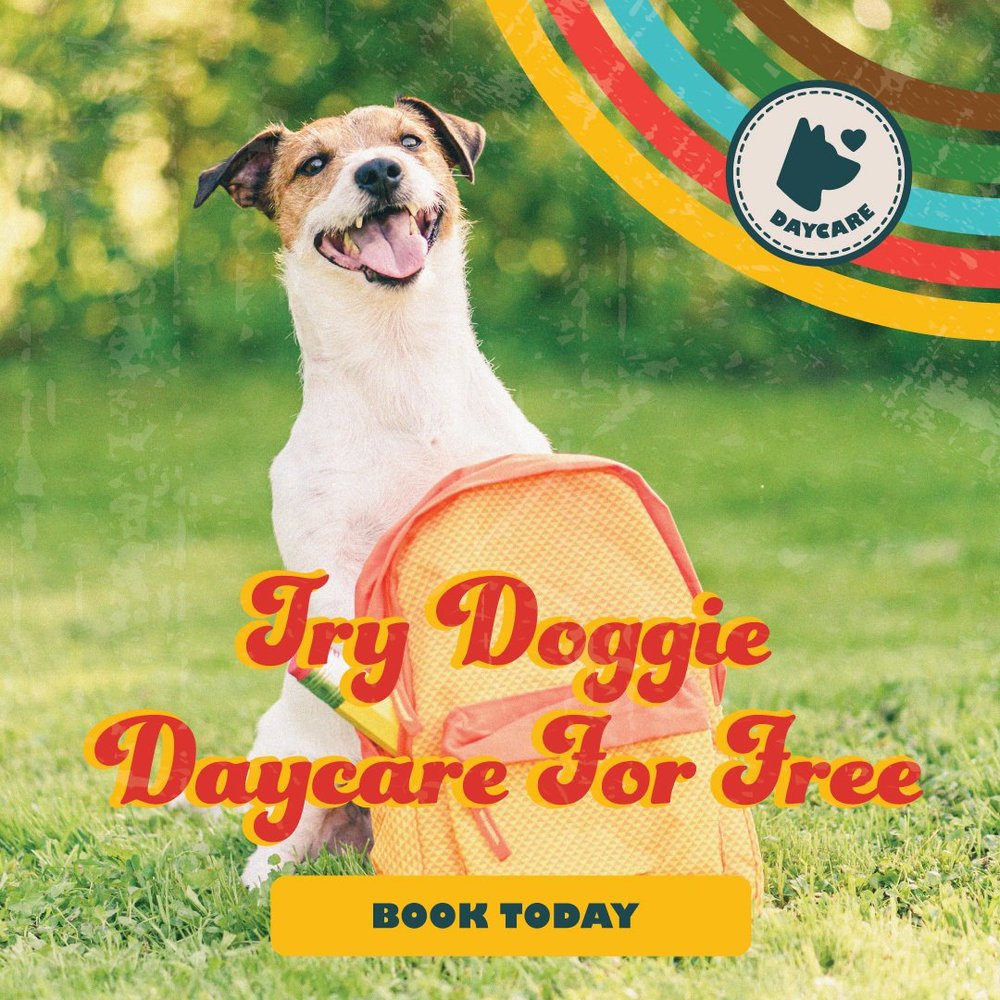 Promotions — Pet Nation Lodge
