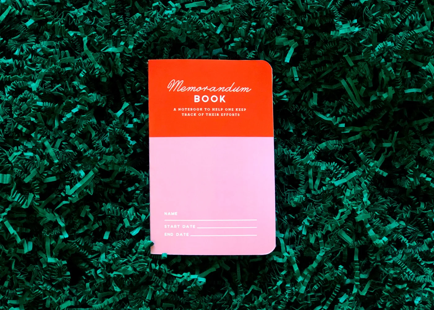 Beth Mathews Design — Memo Kit for Activists and Feminists