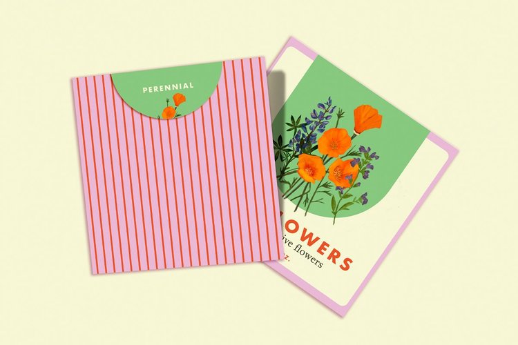 Beth Mathews Design — Wild Flower Seed Packet Design