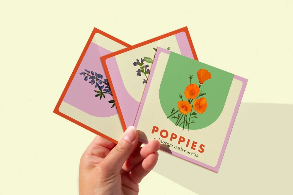 Beth Mathews Design — Wild Flower Seed Packet Design