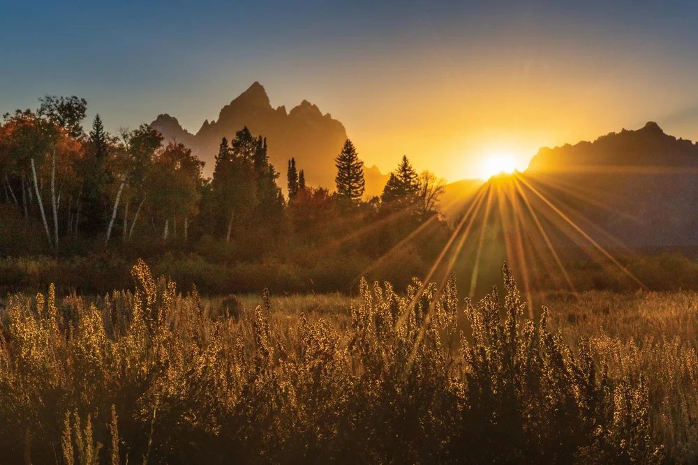 7 Tips for a Great Sunburst — Kristen Ryan Photography