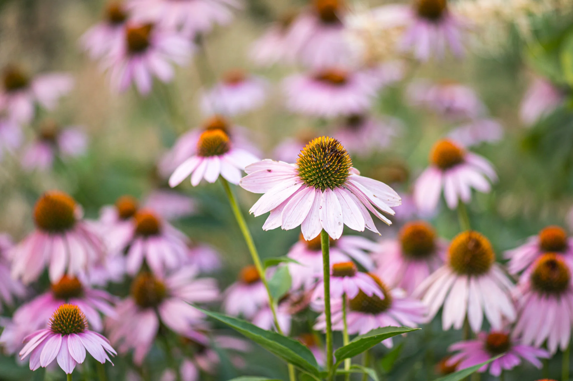 Landscape Tips & Inspiration — Kristen Ryan Photography