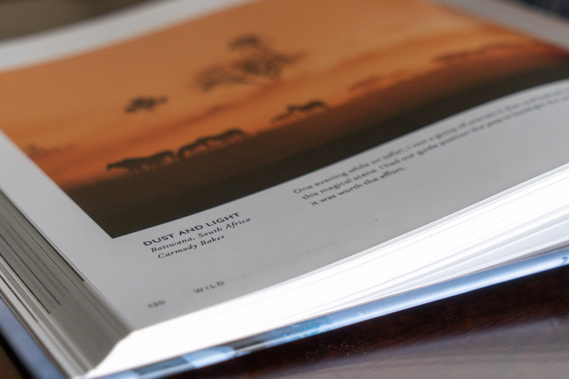 Chasing Magic Coffee Table Book — Kristen Ryan Photography