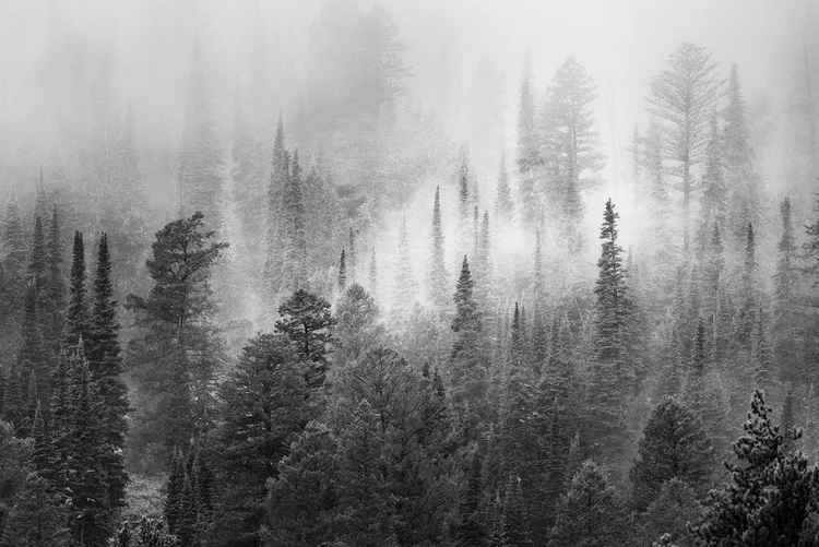 4 Tips for Creating Compelling Black and White Landscape Imagery ...