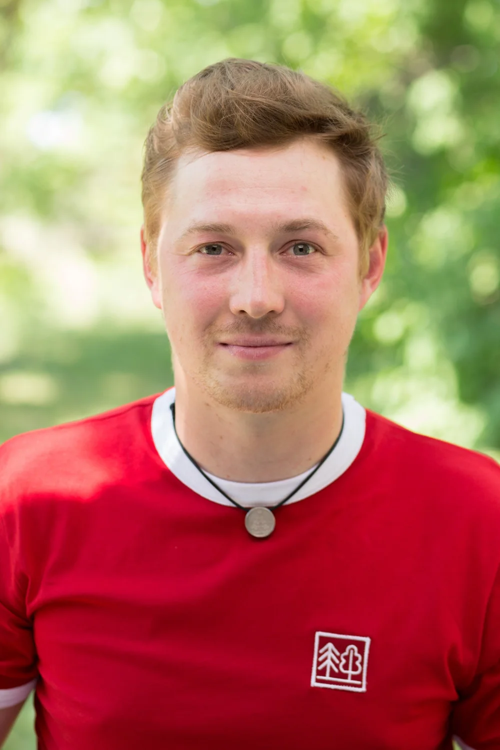 koku eksperts, arborists, dārznieks, ainavu arhitekts — LABIE KOKI