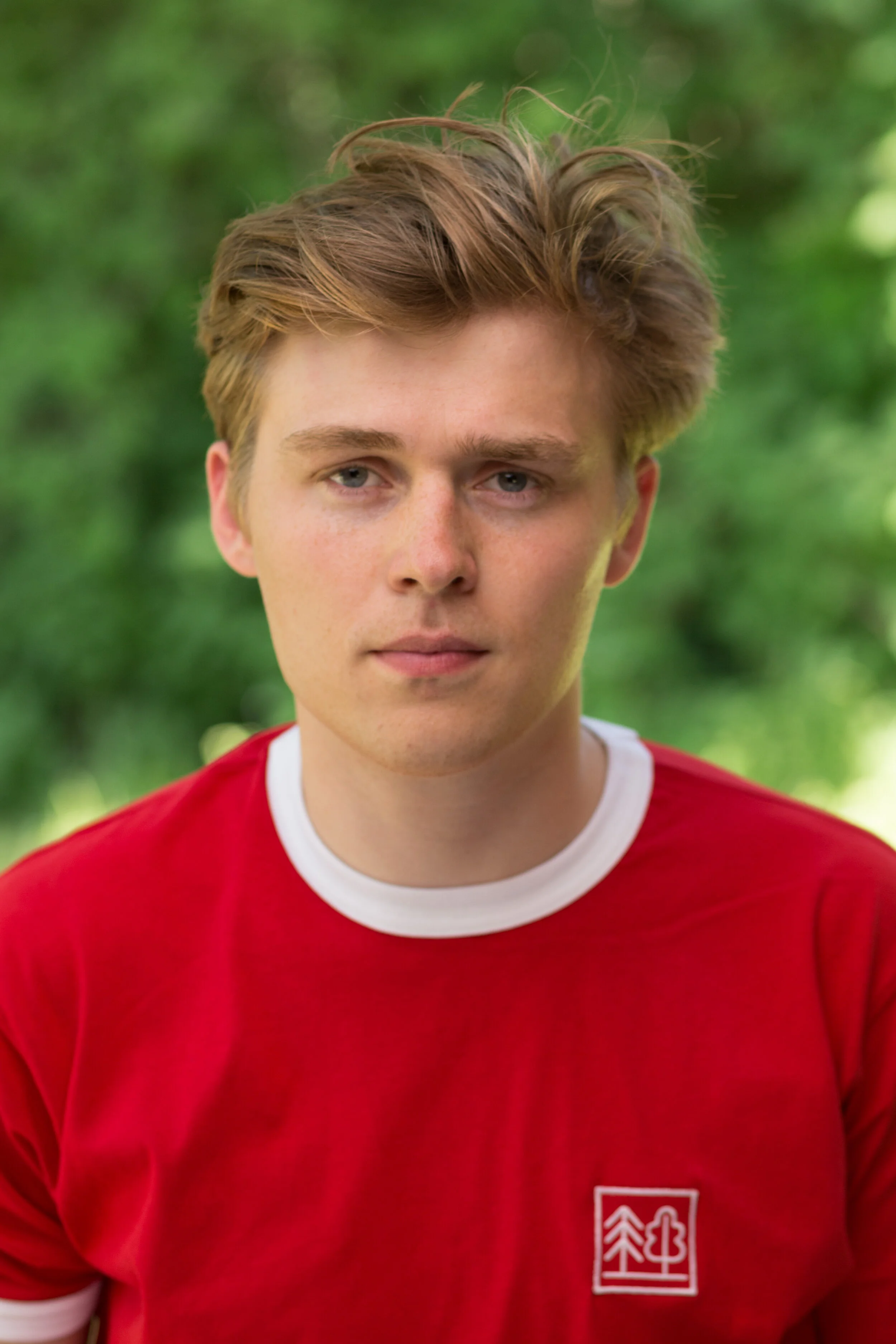 koku eksperts, arborists, dārznieks, ainavu arhitekts — LABIE KOKI