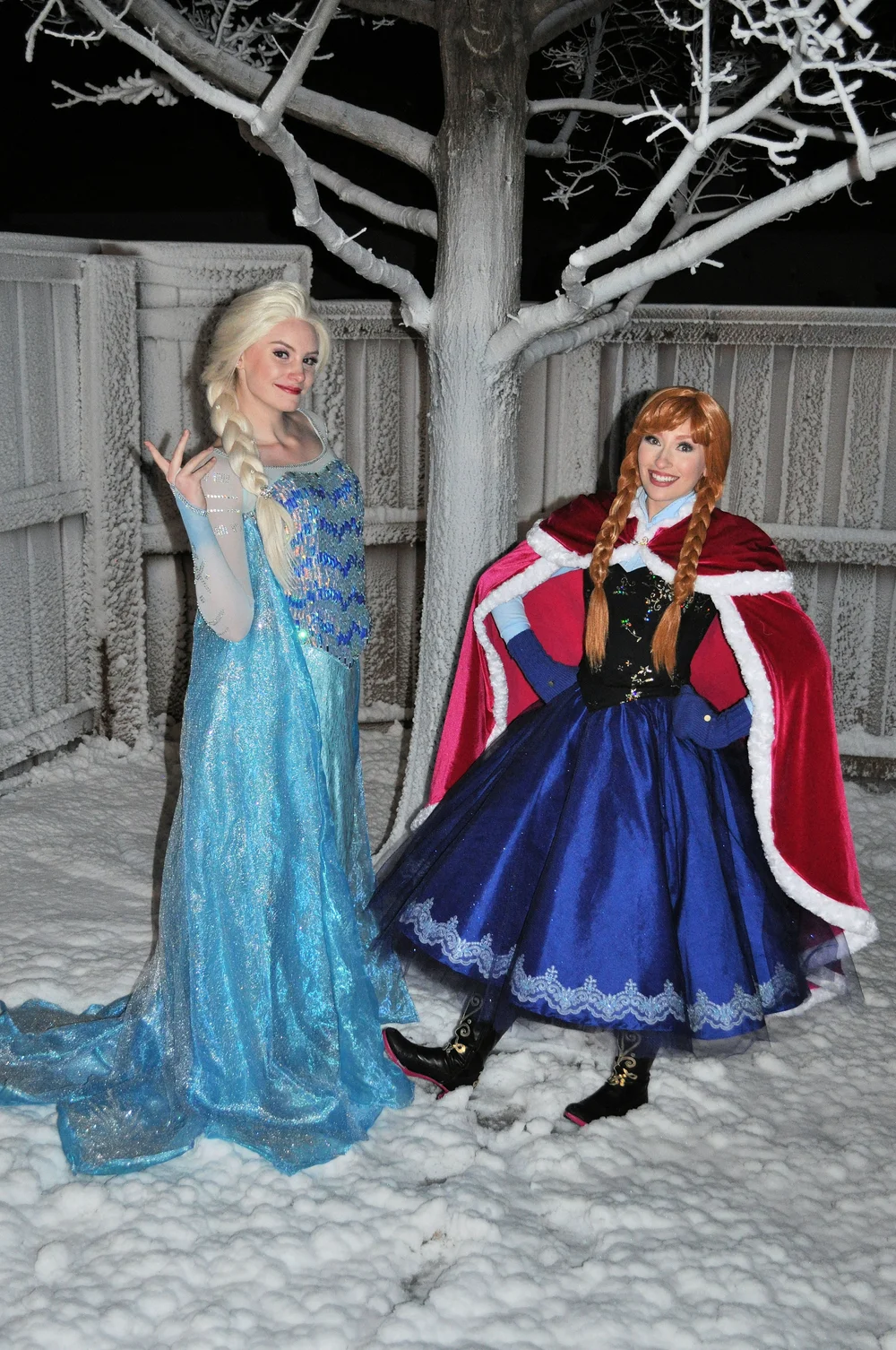 Have Breakfast With Elsa & Anna — Fairview Town Center - Stacy Road ...