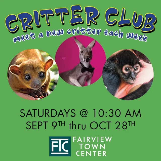 Critter Club — Fairview Town Center - Stacy Road & US 75 in Fairview ...