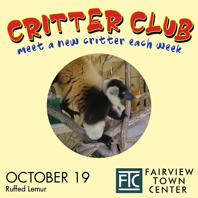 Critter Club — Fairview Town Center - Stacy Road & US 75 in Fairview ...