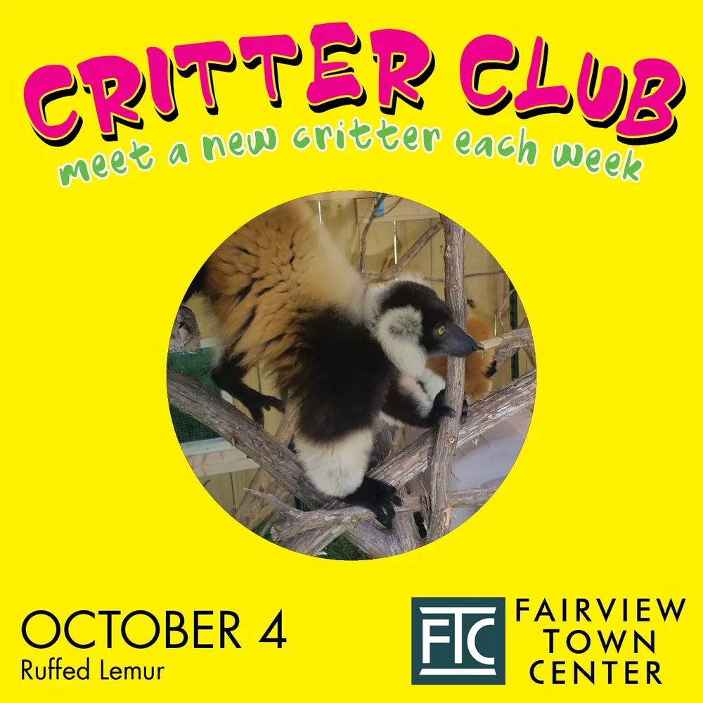 Critter Club — Fairview Town Center - Stacy Road & US 75 in Fairview, TX - Dillard's, JCPenney ...